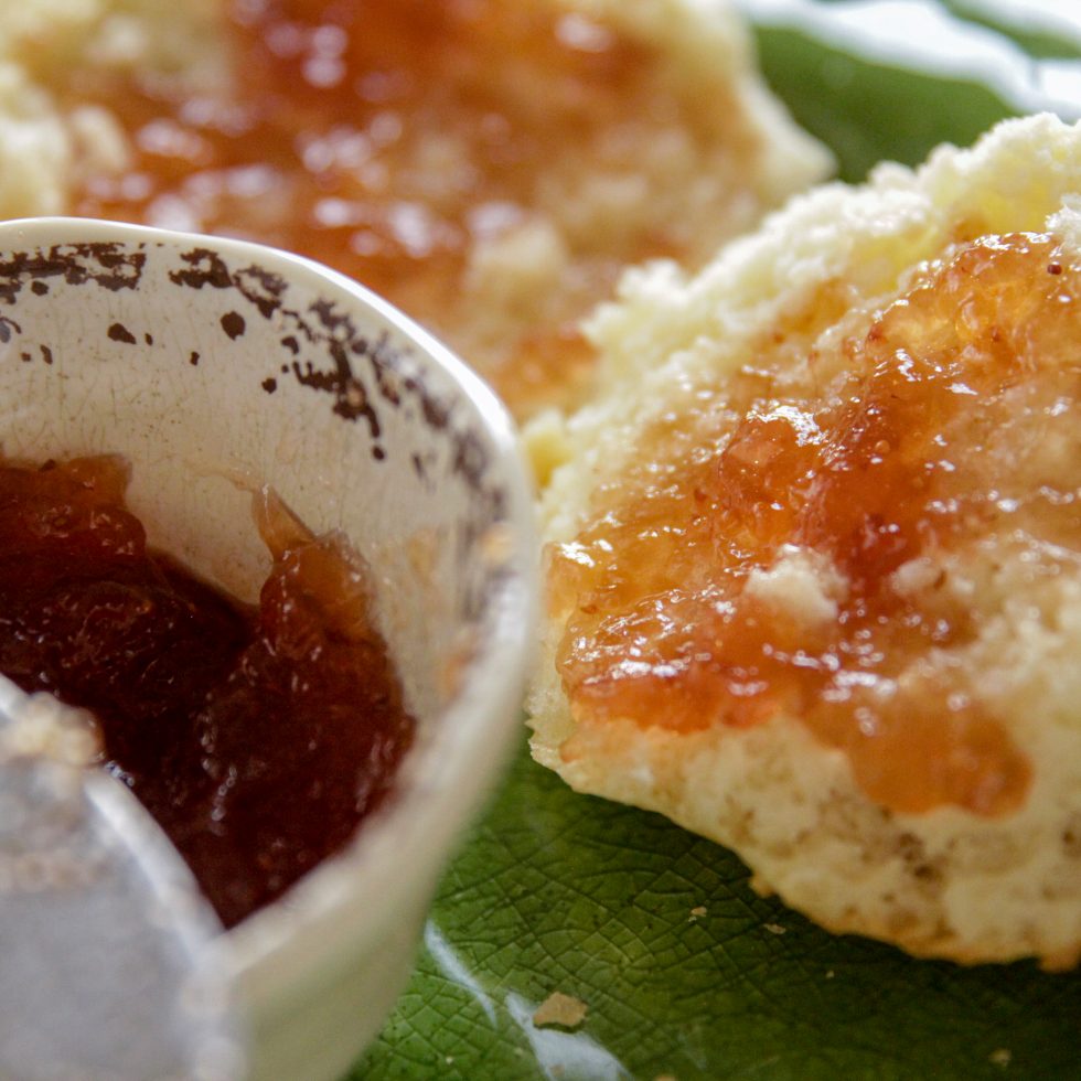 Southern Style Tuna Salad Recipe - Blue Plate Mayonnaise